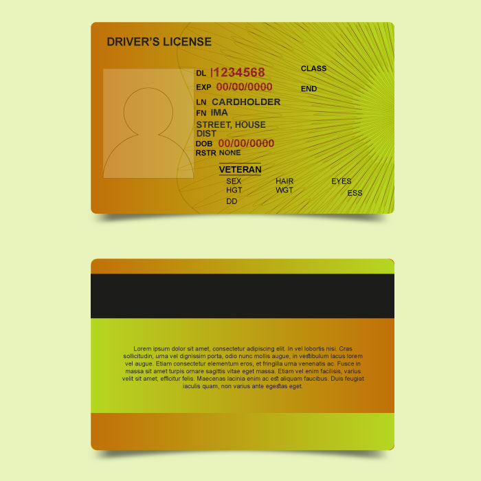 Secure & Custom Driver License Design | High-Security Features